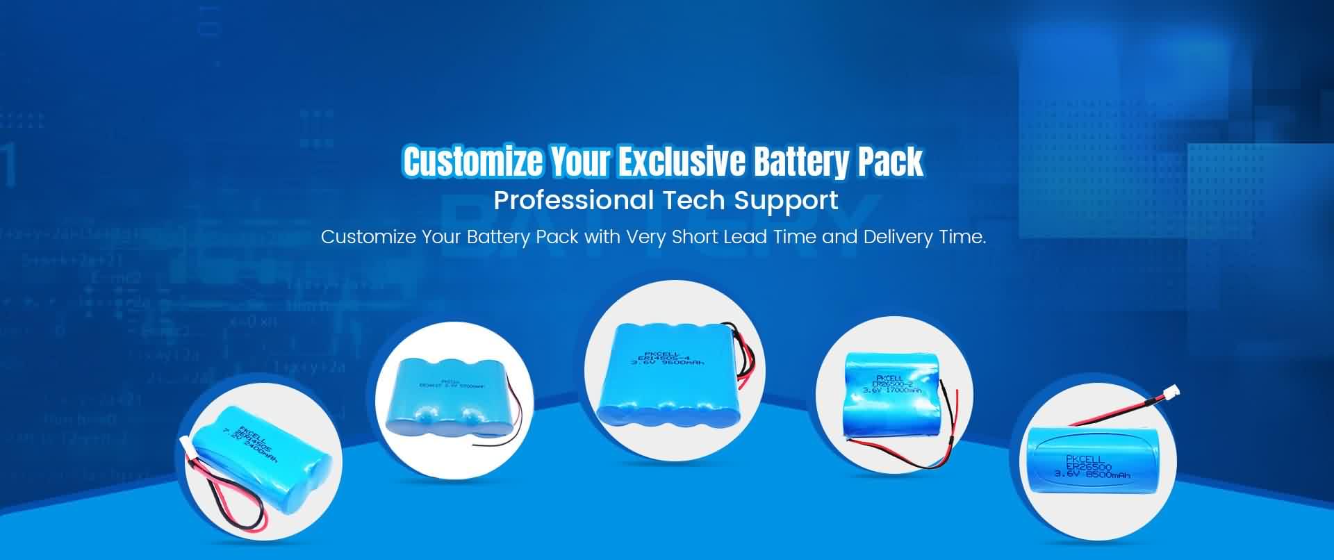 Battery Manufacturers, Suppliers, Exporters - Shenzhen Pkcell Battery ...